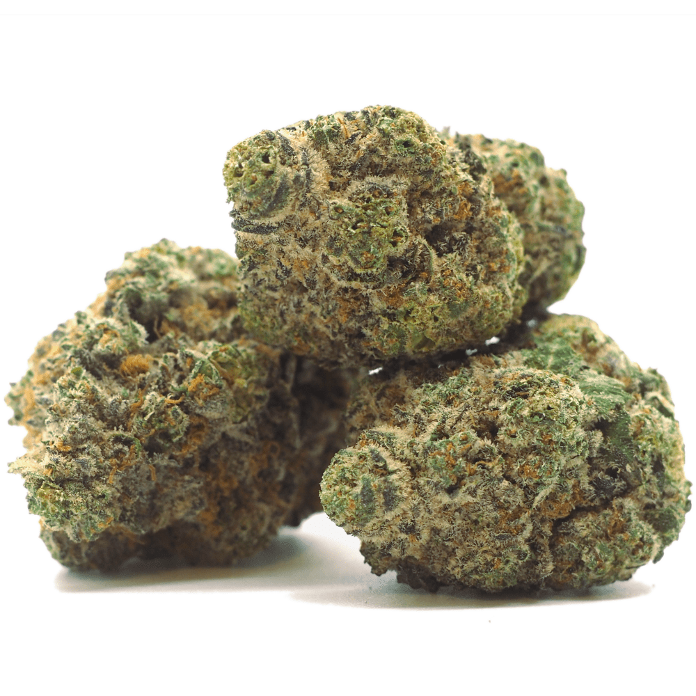 Oreo Cookies | Bulk Cannabis