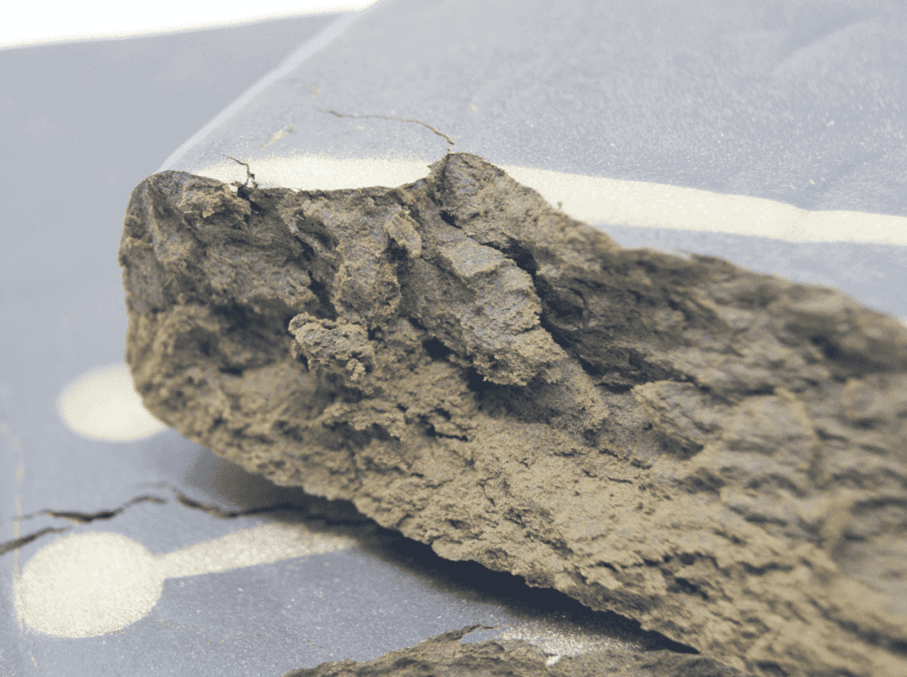 Rolex Hash | Bulk Cannabis