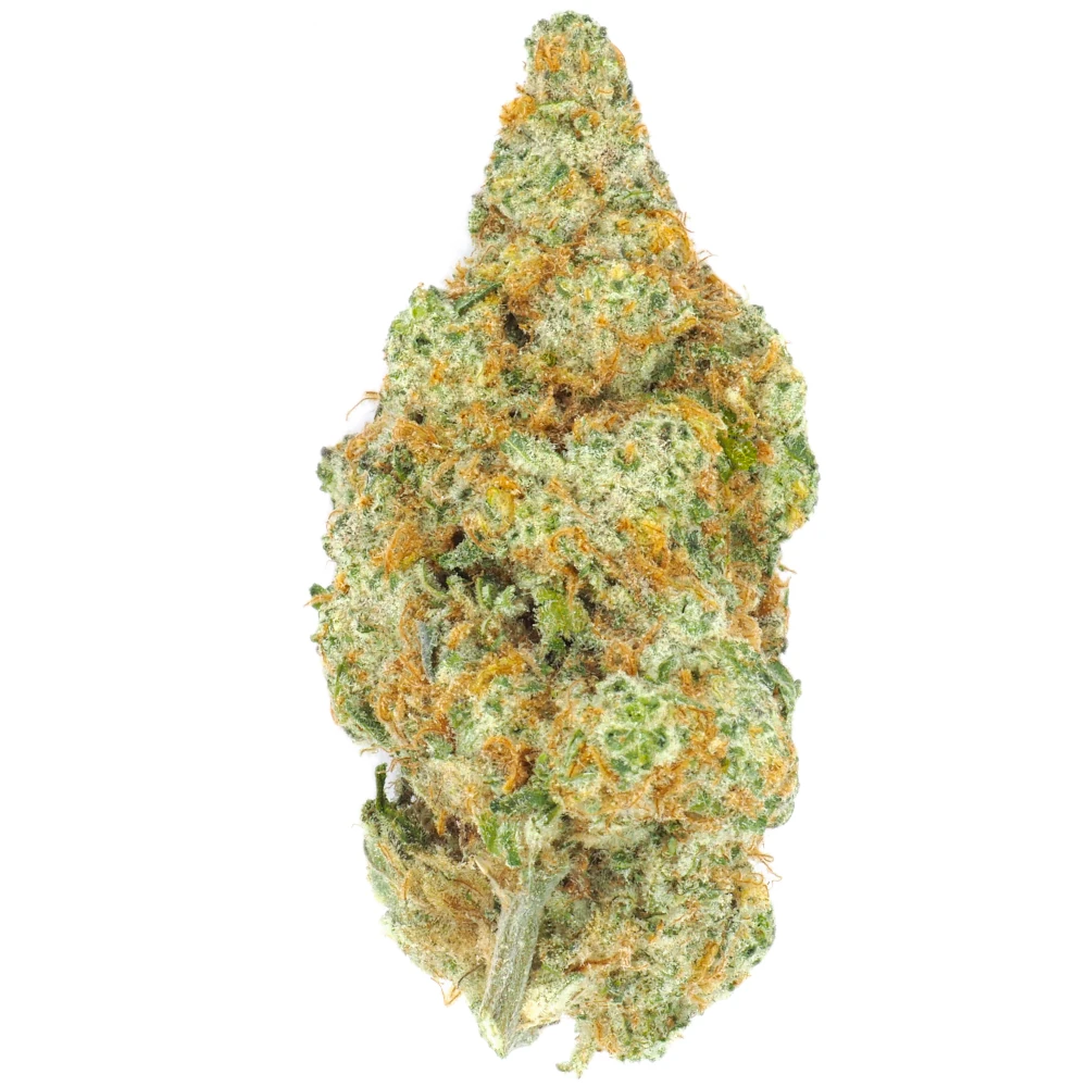 Space Zootiez | Buy Bulk Weed Online