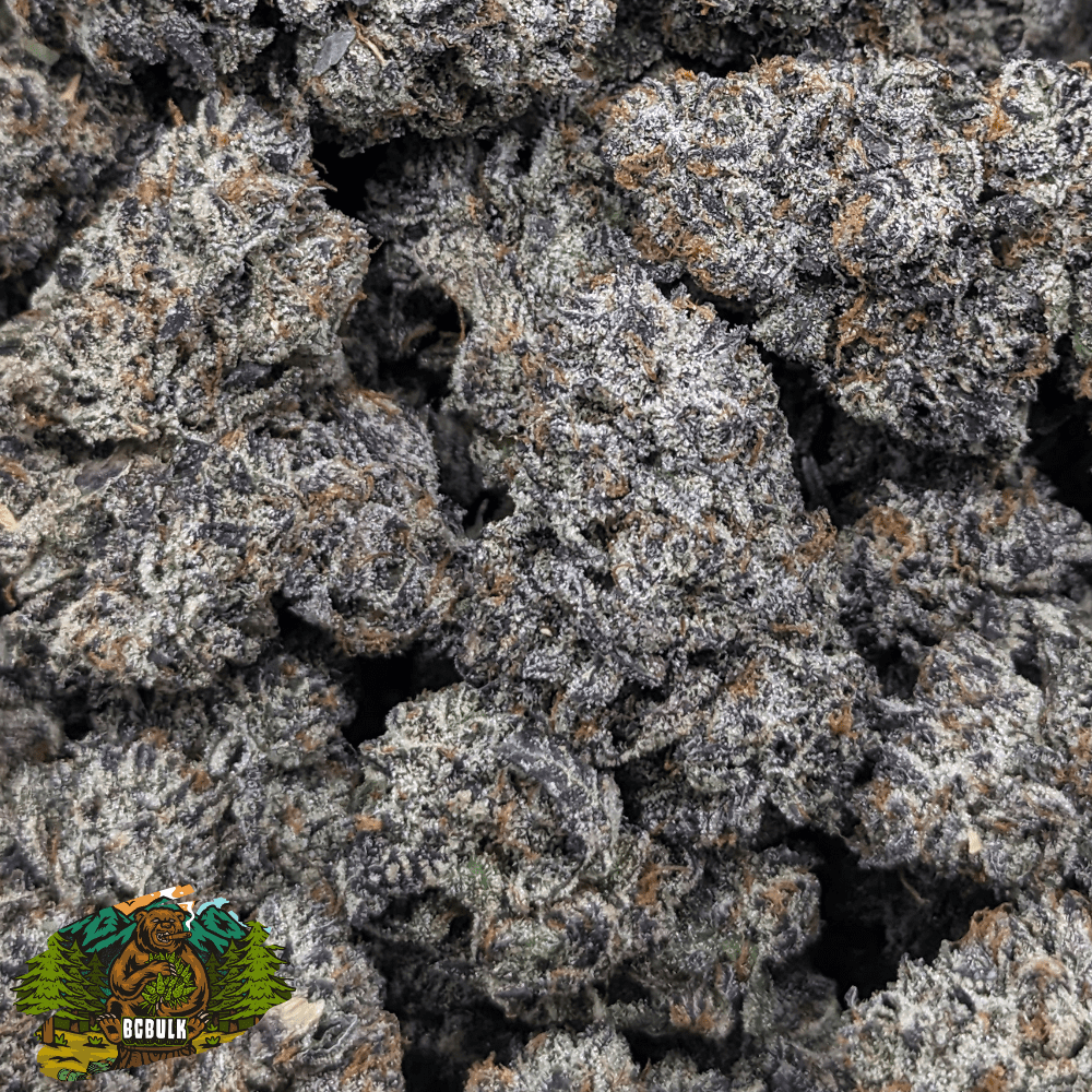Black Truffle (BULK) | Bulk Cannabis