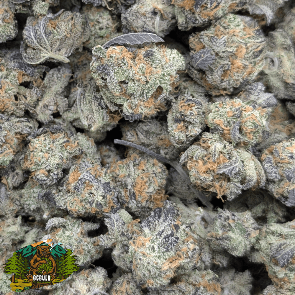 Rainbow Sherbet Smalls (BULK) | Bulk Weed Canada