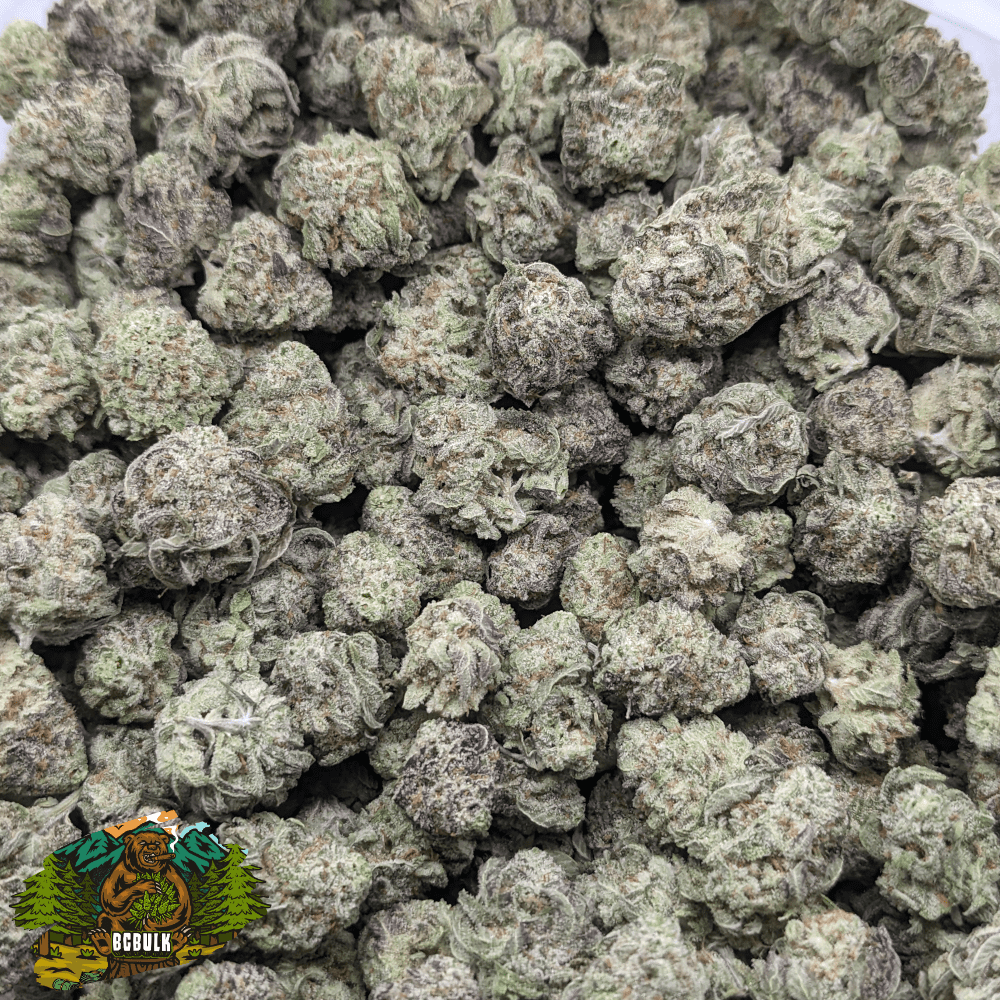 Bahama Mama (Smalls) | Cheap Weed Canada