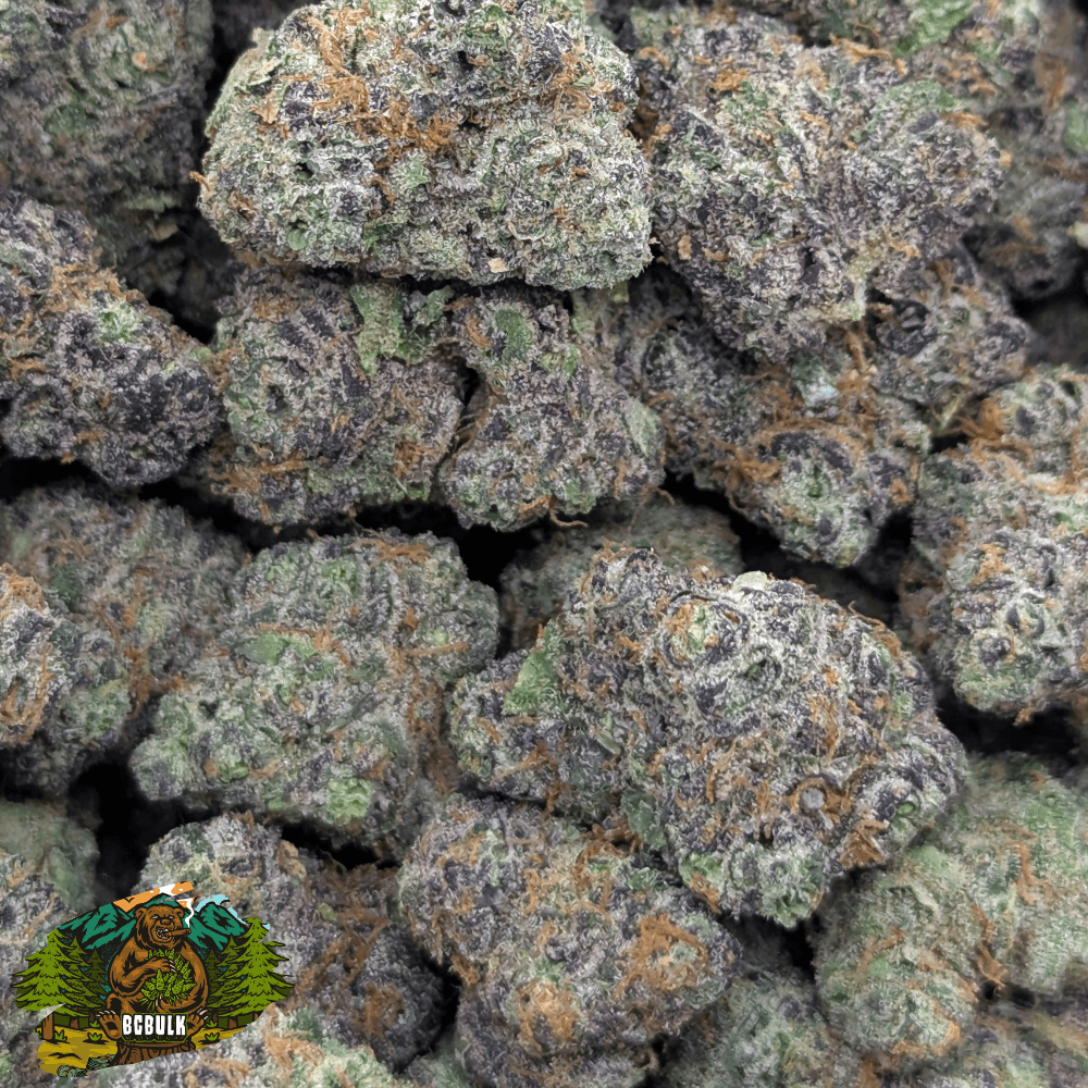 LSO Bahama Mama Smalls (BULK) | LSO Weed Online