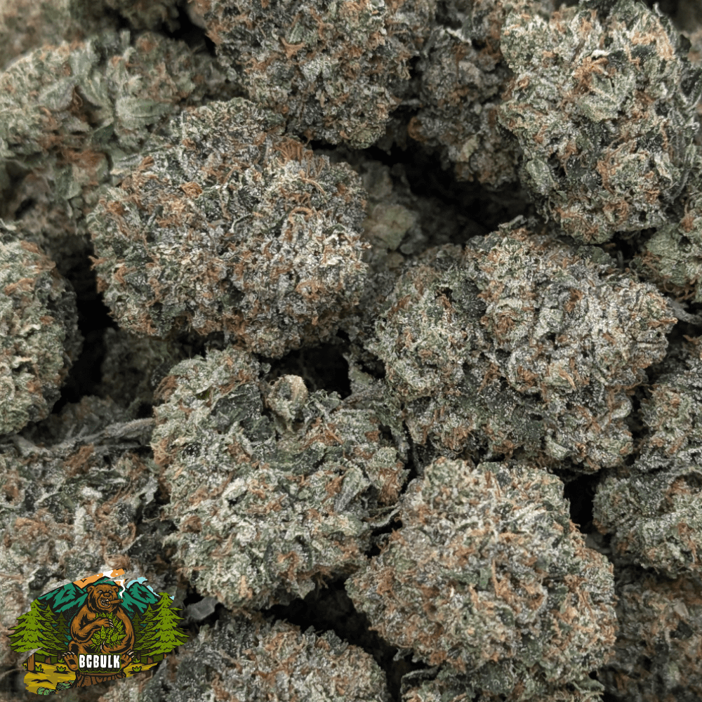 LSO Pink Goo | LSO Weed Online