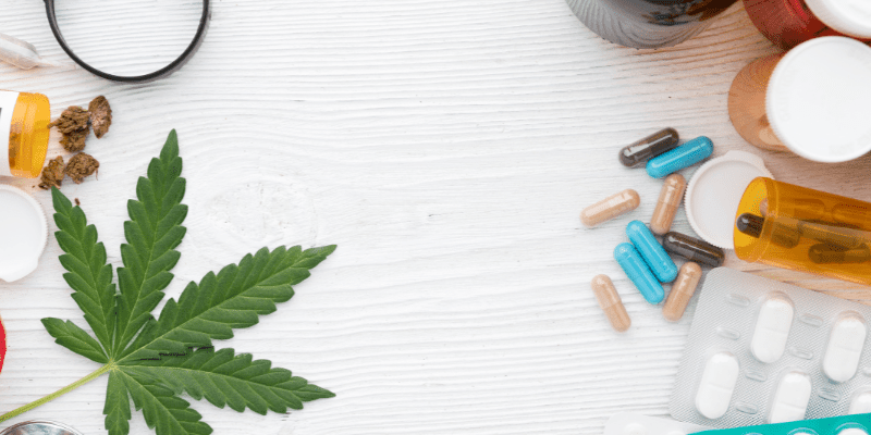 The Role of Cannabis in Reducing Opioid Dependency: A Path to Safer ...