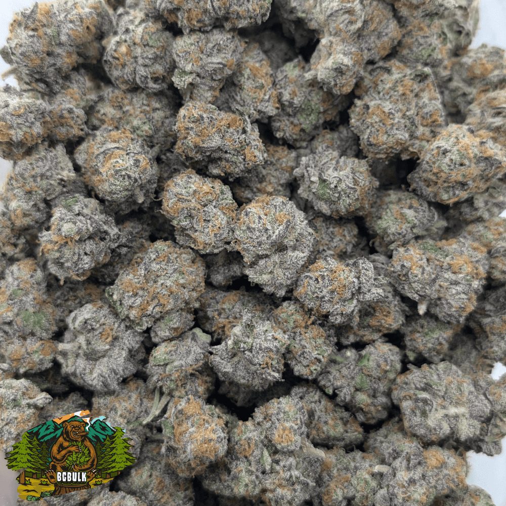 LSO Gas Cream Cake Smalls (BULK) | Bulk Cannabis