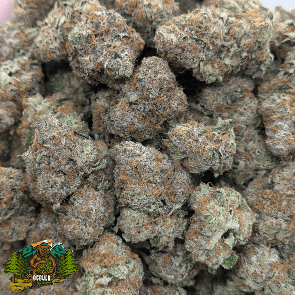 Pave (BULK) | Bulk Weed Canada