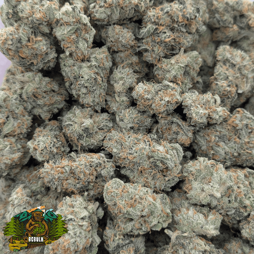 LSO Strawberry Guava Smalls (BULK) | Bulk Weed Canada