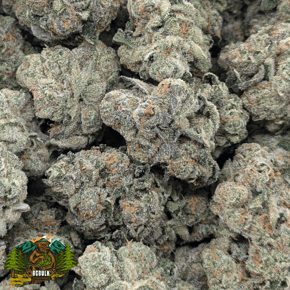 LSO Hippy Tearz (BULK) | Bulk Cannabis