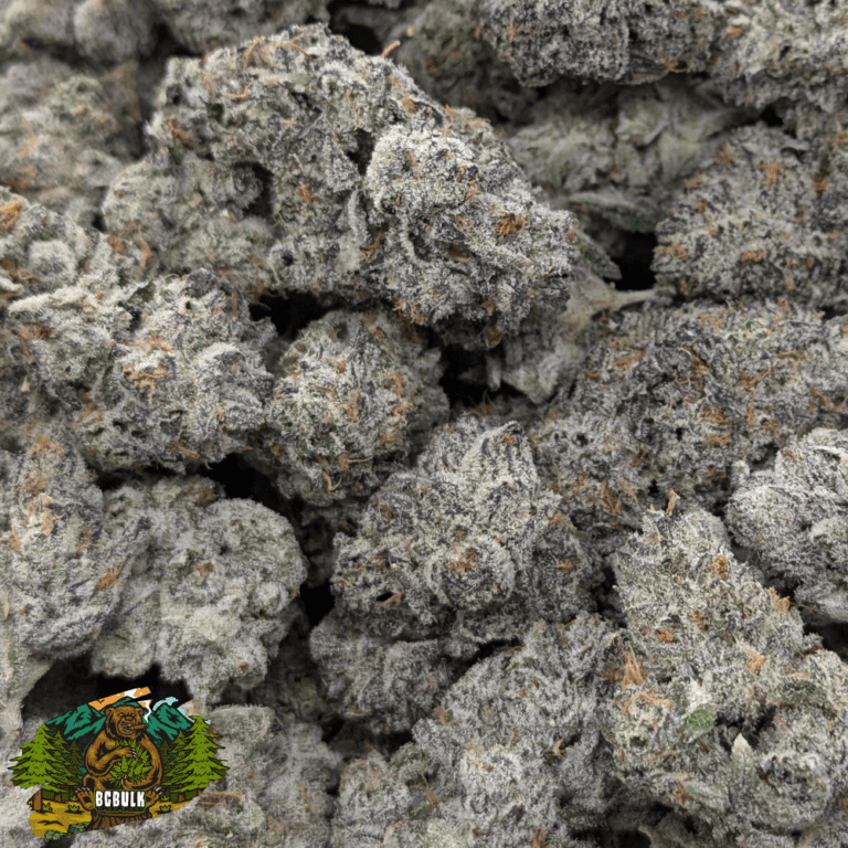 Blue Lobster | Buy Weed Online Canada