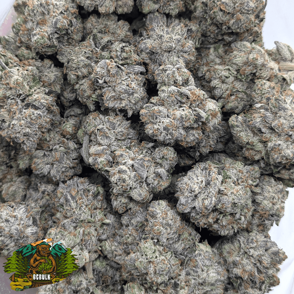 Island Pink (BULK) | Bulk Weed Canada
