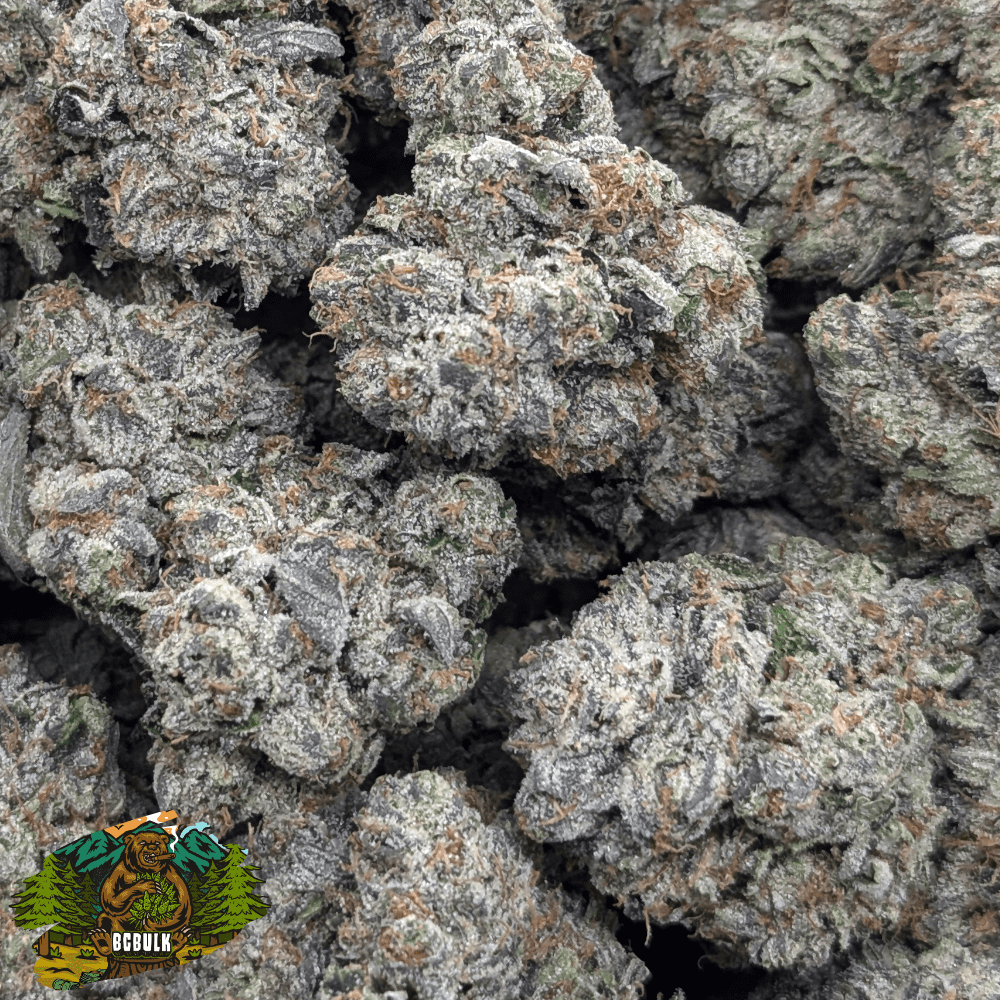 Island Pink (BULK) | Bulk Weed Canada
