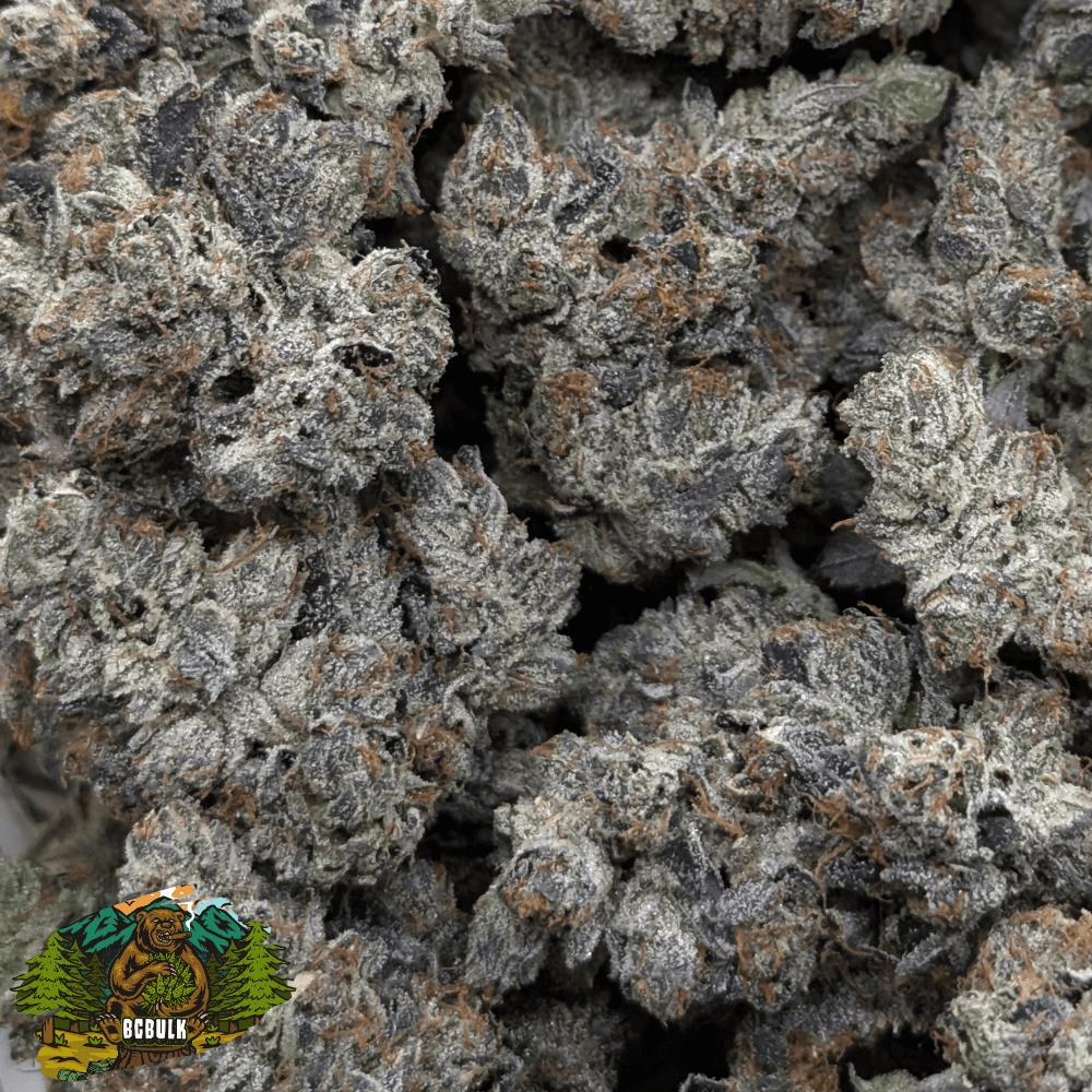 Doughboy Pink (BULK) | Bulk Weed Canada