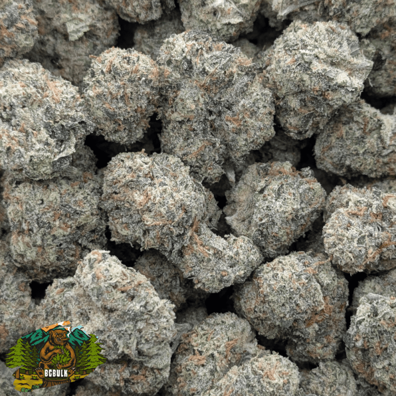 LSO White Runtz (Smalls) | Organic Weed Online