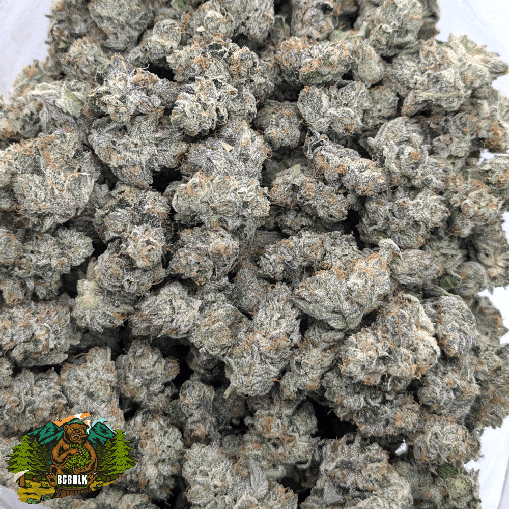 LSO Pink Gas Smalls (BULK) | Bulk Cannabis