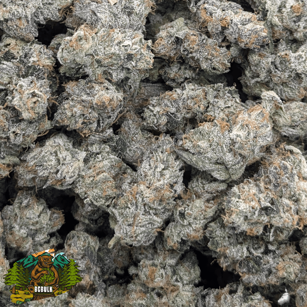 LSO Pink Gas Smalls (BULK) | Bulk Cannabis