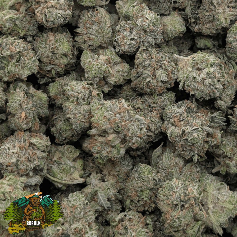 Pink Kush Smalls (BULK) | Bulk Weed Canada