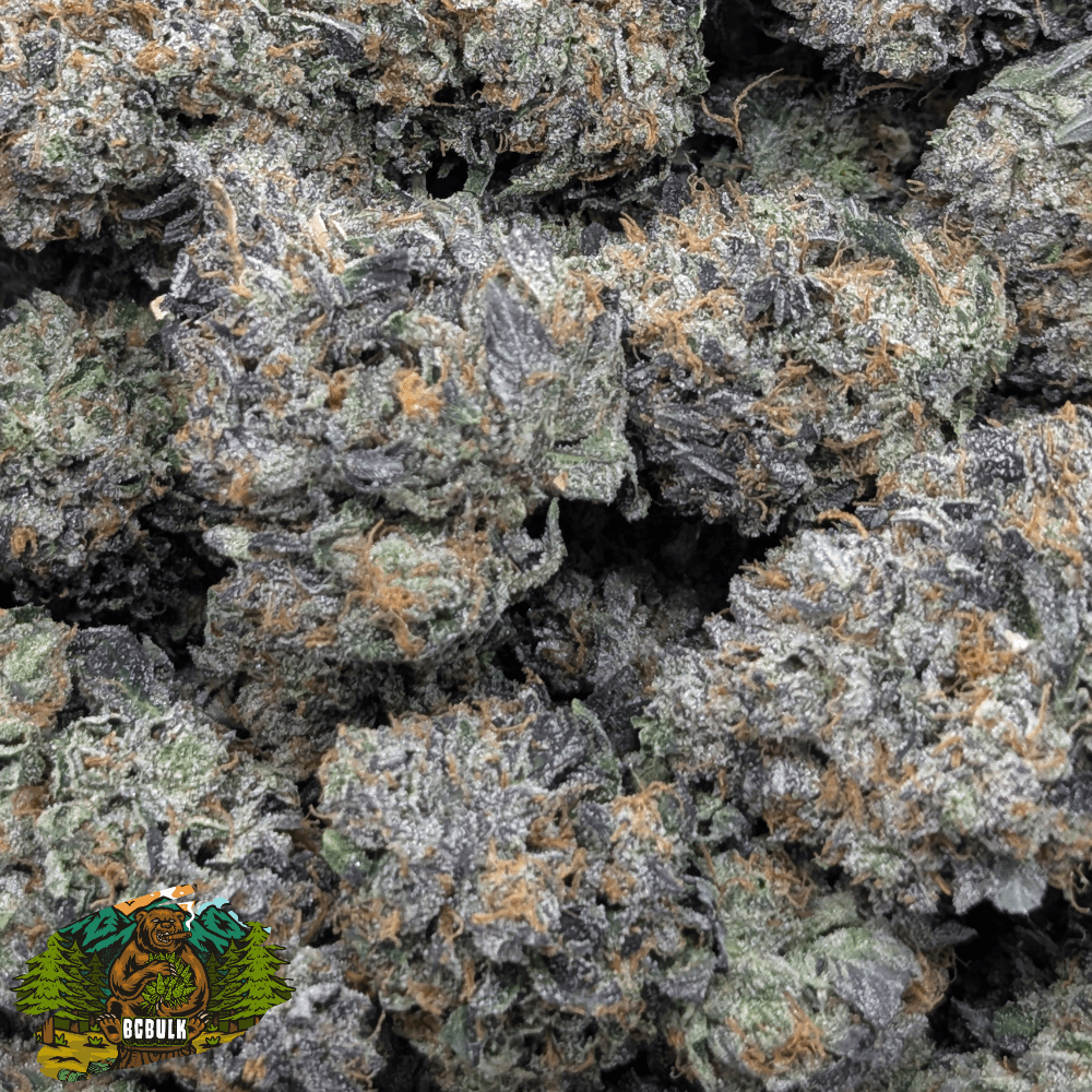 Tom Ford Pink Kush (Bulk) | Bulk Weed Canada