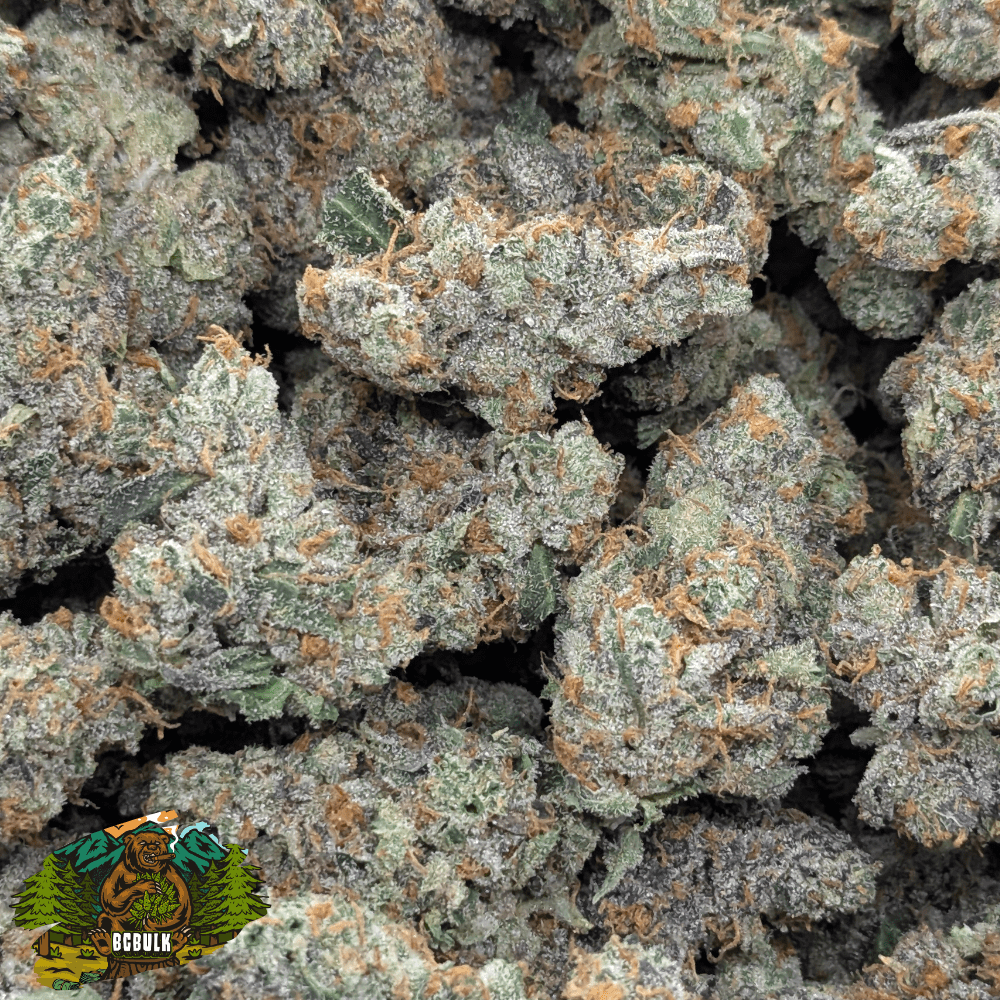 LSO Fire OG Smalls (BULK) | Bulk Weed Canada